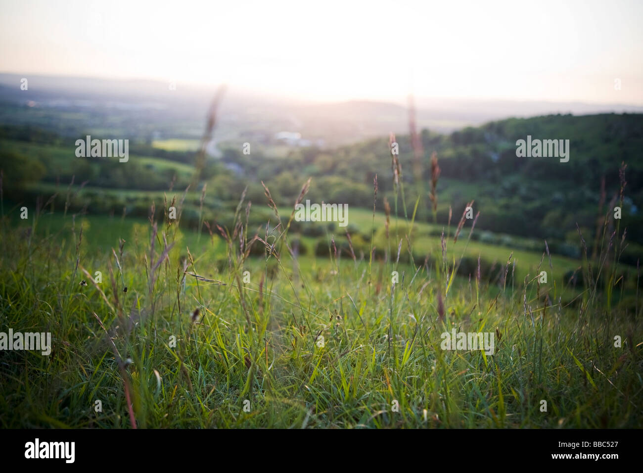 Birdlip village hi-res stock photography and images - Alamy