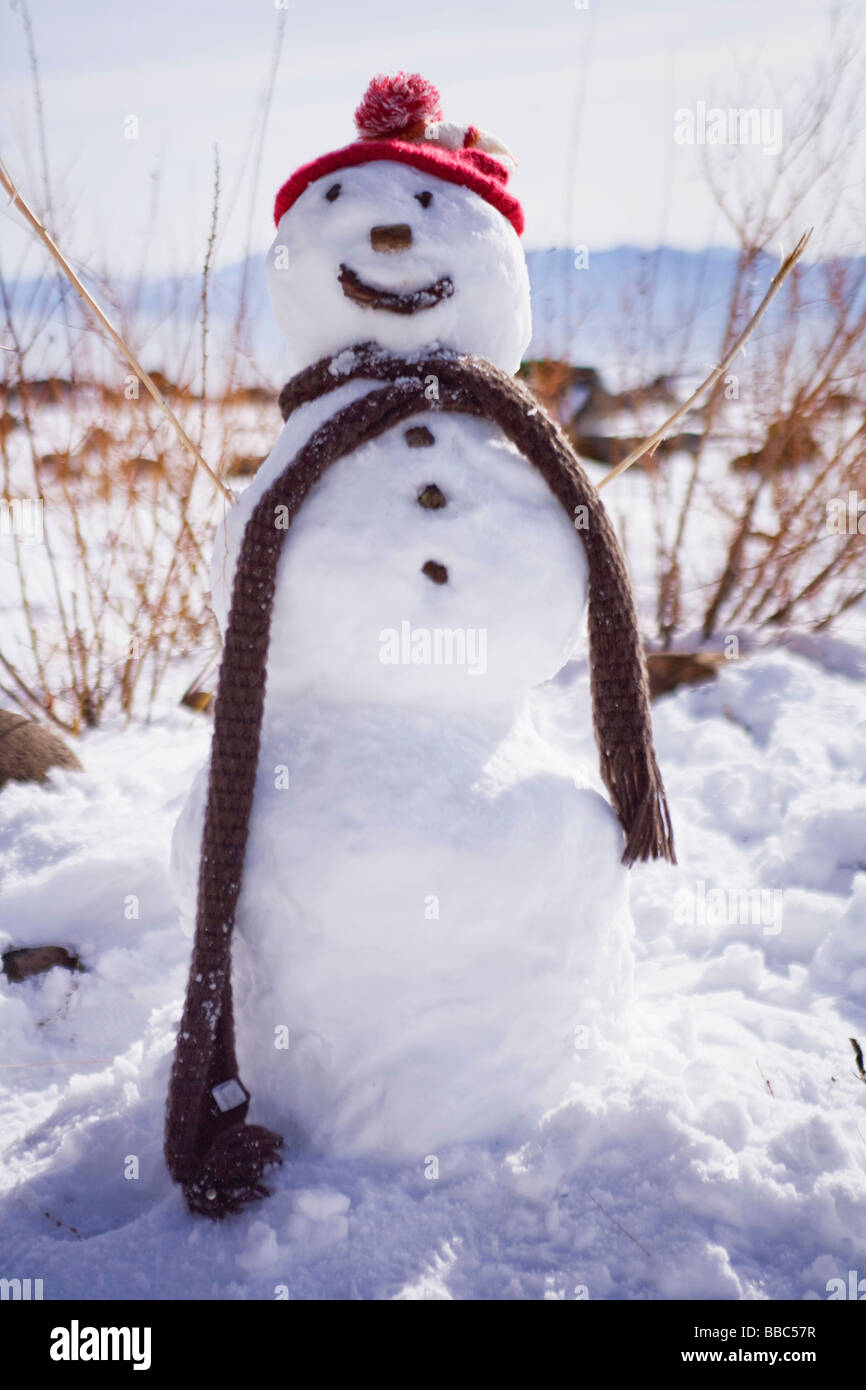 Snowman with hat hi-res stock photography and images - Alamy