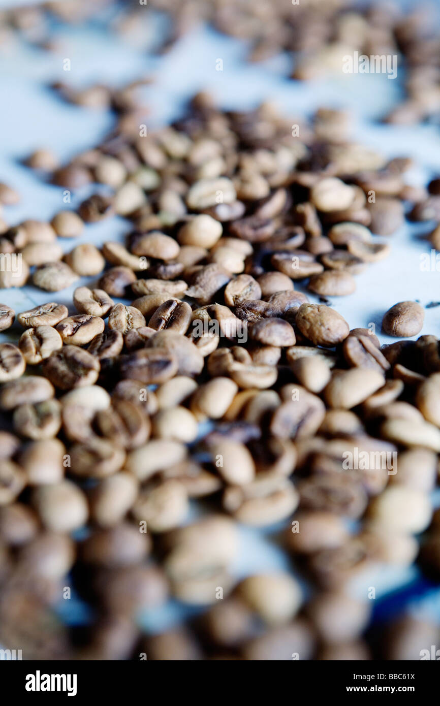 Coffee beans. Wadi Rum desert, Jordan Stock Photo - Alamy