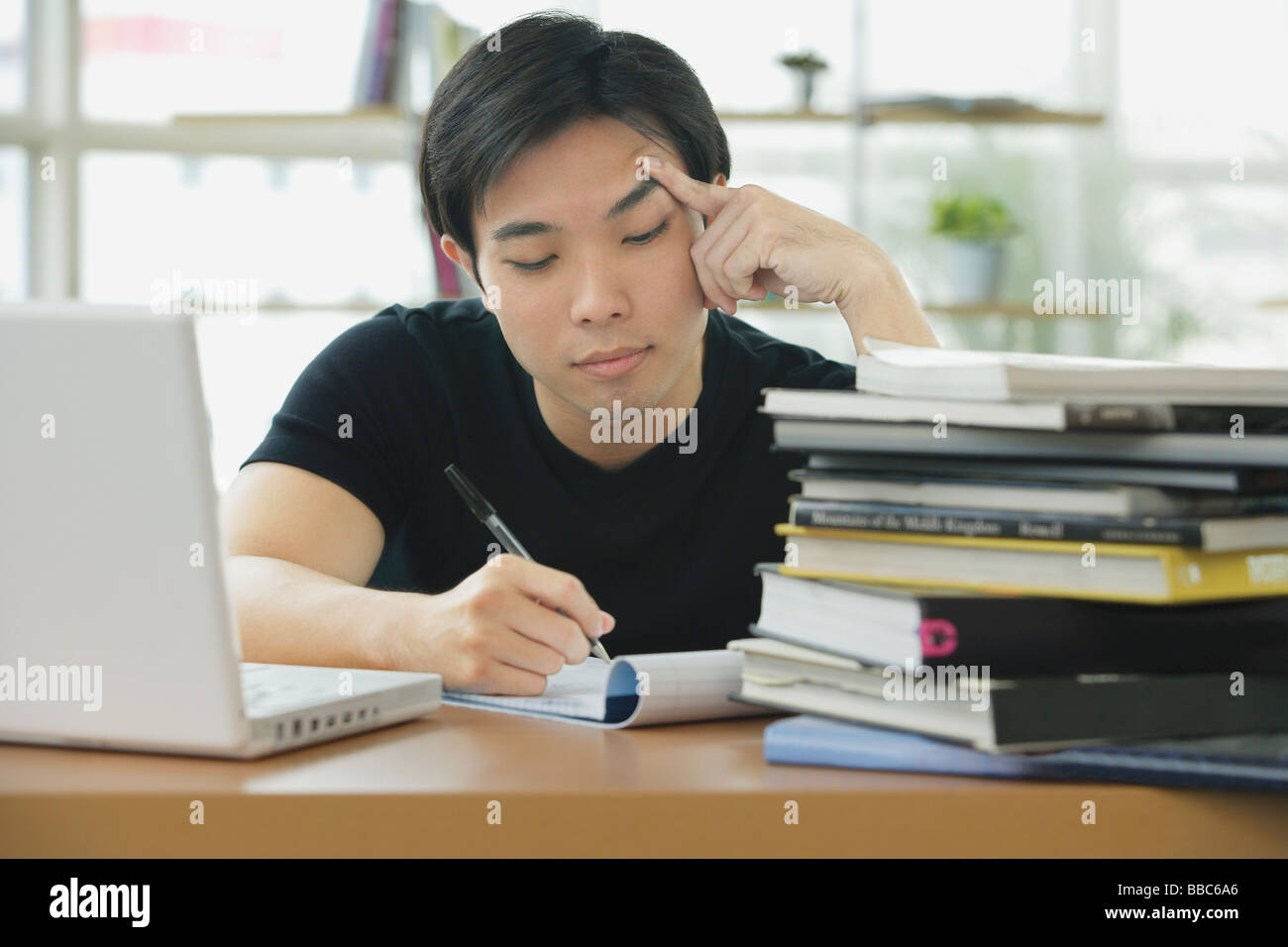 Young adult studying with laptop and books Stock Photo - Alamy