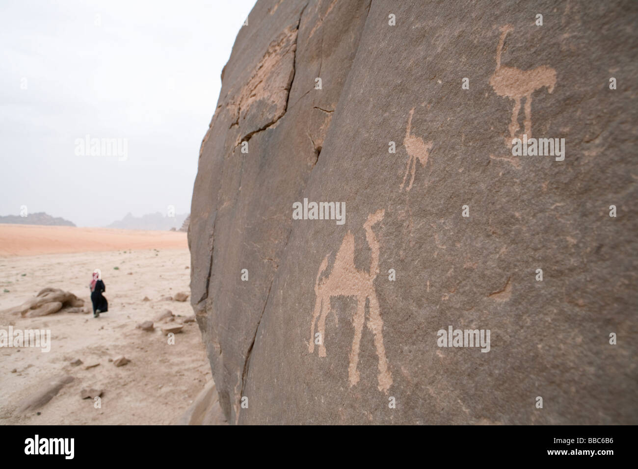Rock paintings in Wadi Rum desert, Jordan Stock Photo - Alamy