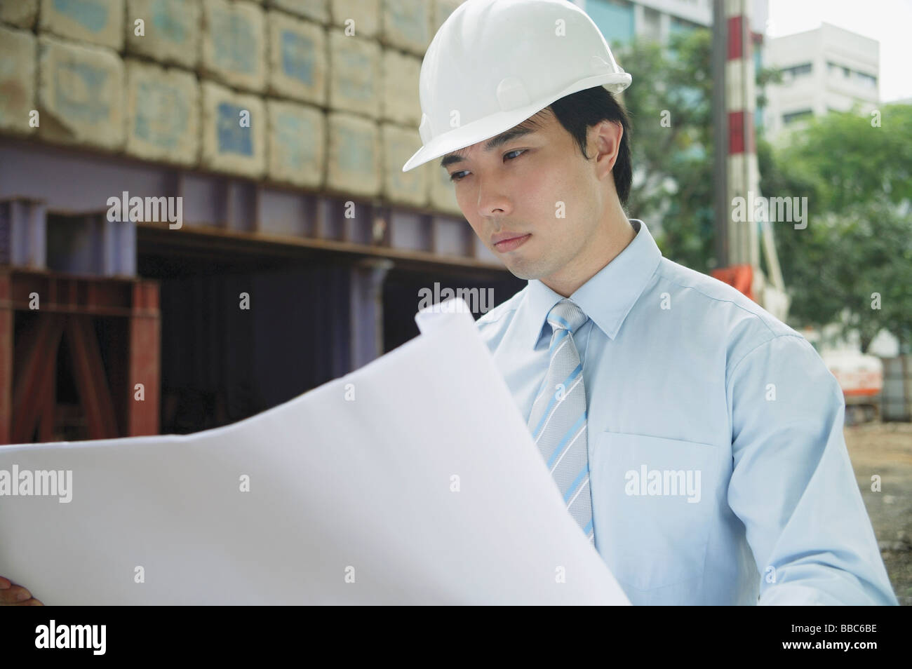 Businessman looking at blueprints Stock Photo - Alamy