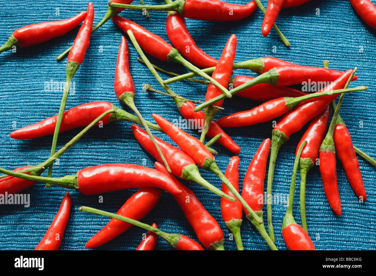 Still life of chilies against blue background Stock Photo - Alamy