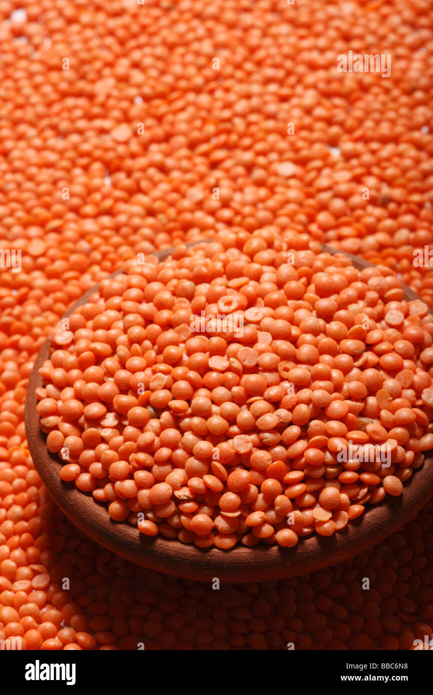 Red Masoor Dal is a small red coloured lentil used in Indian food Stock ...