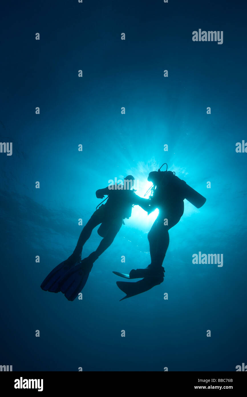 Male diver hi-res stock photography and images - Alamy