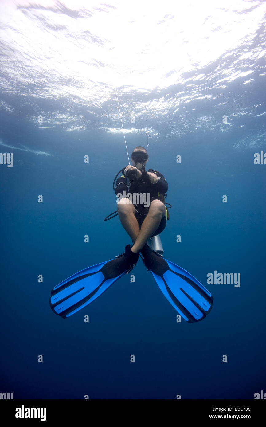 Male diver hi-res stock photography and images - Alamy
