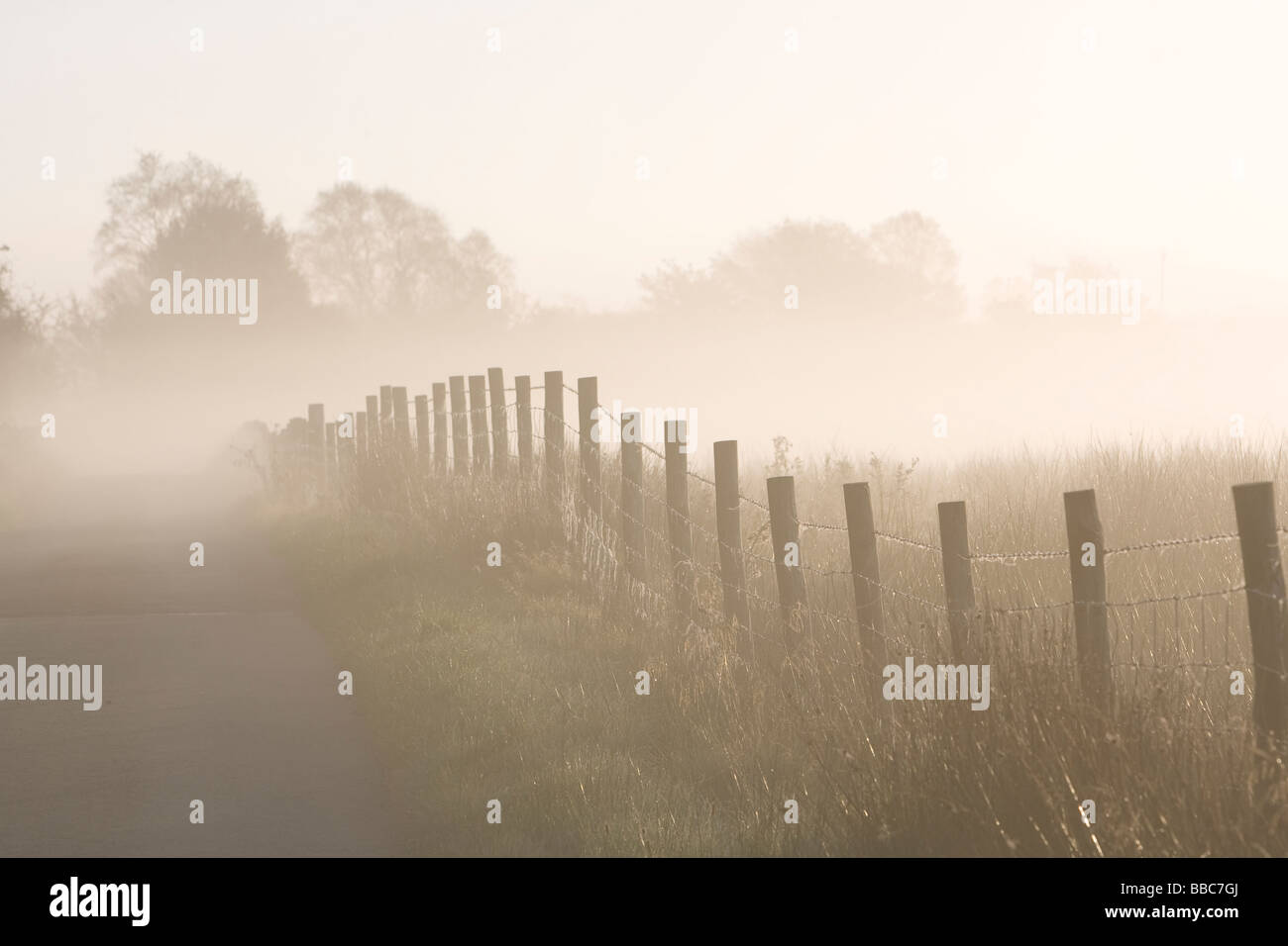Fence posts disappear into the mist as sun rises in Powys Wales Stock ...