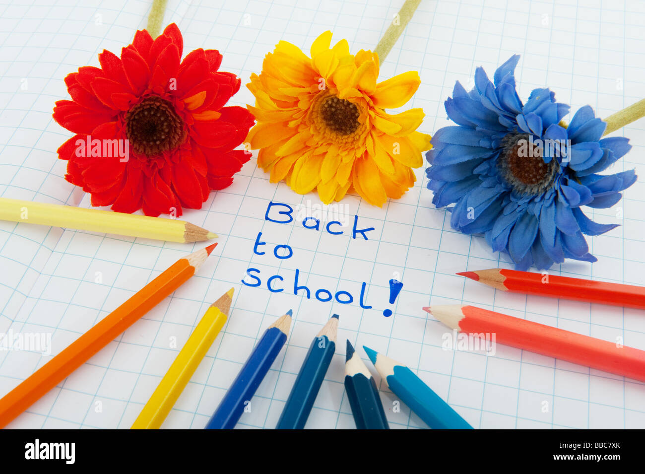 Back to school with colorful flowers Stock Photo - Alamy
