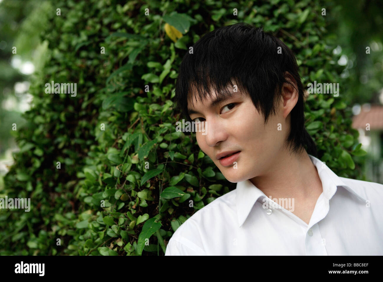 young man in front of tree Stock Photo - Alamy