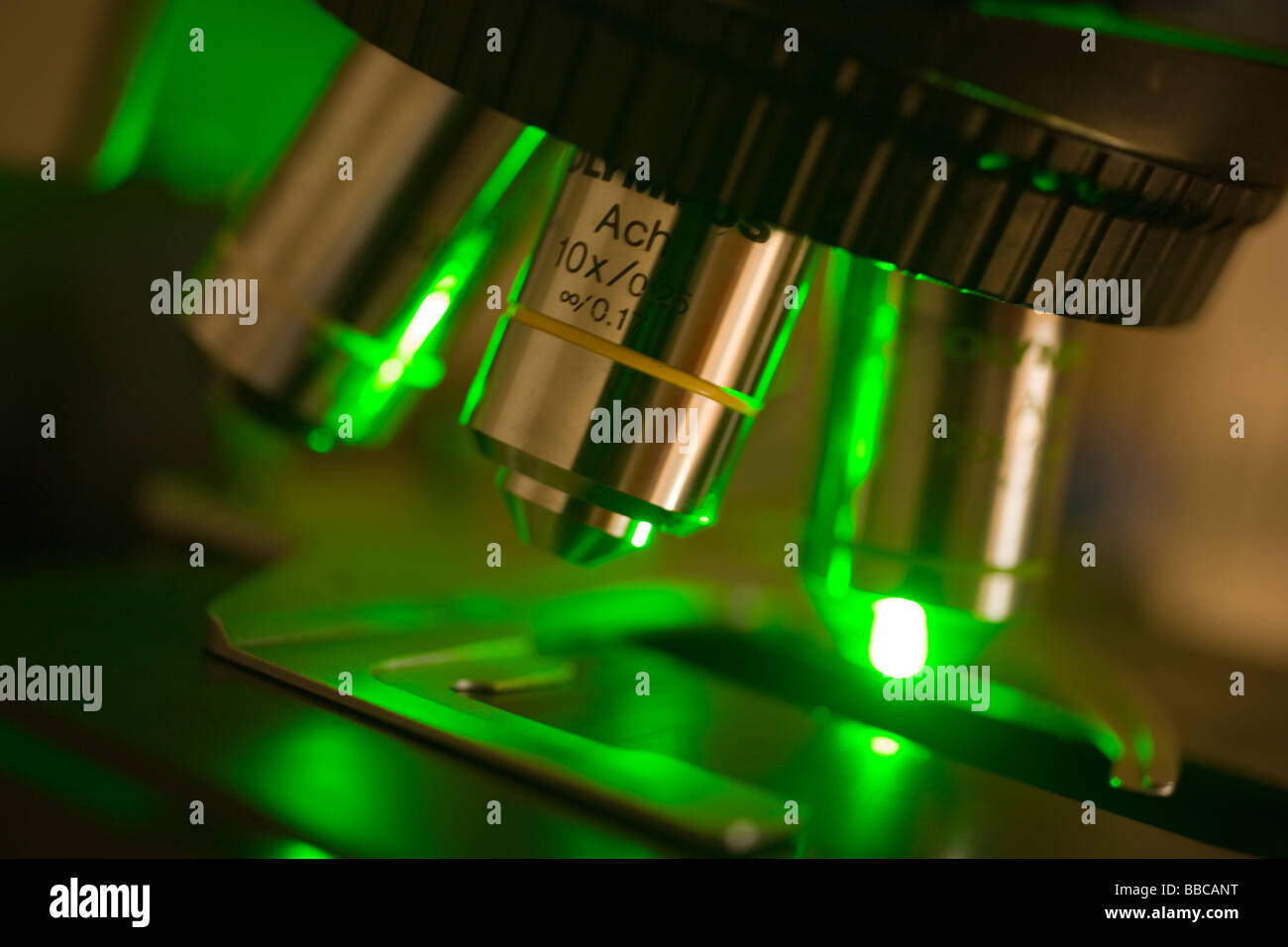 microscope close up Stock Photo - Alamy