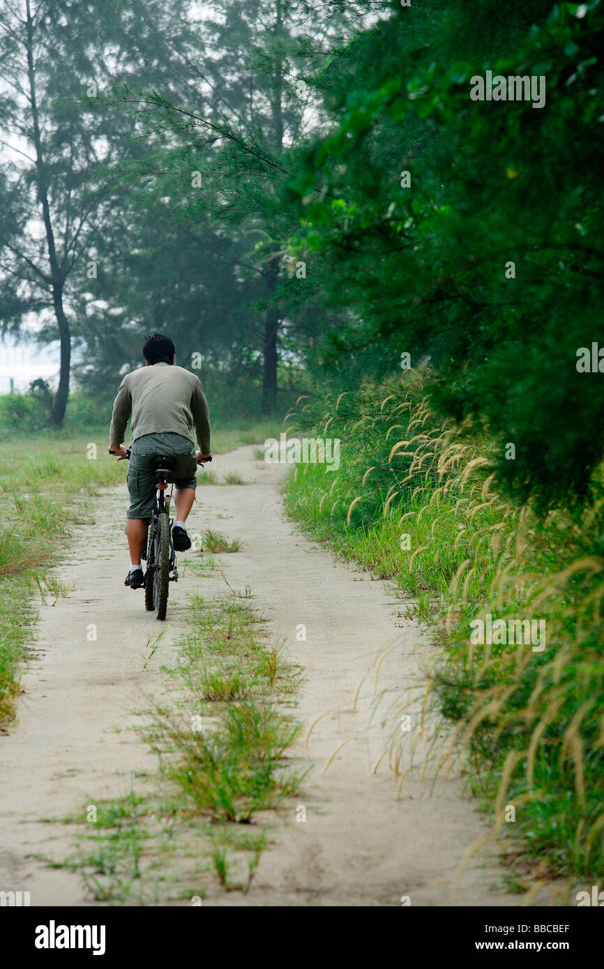 Rear view of a man cycling Stock Photo - Alamy