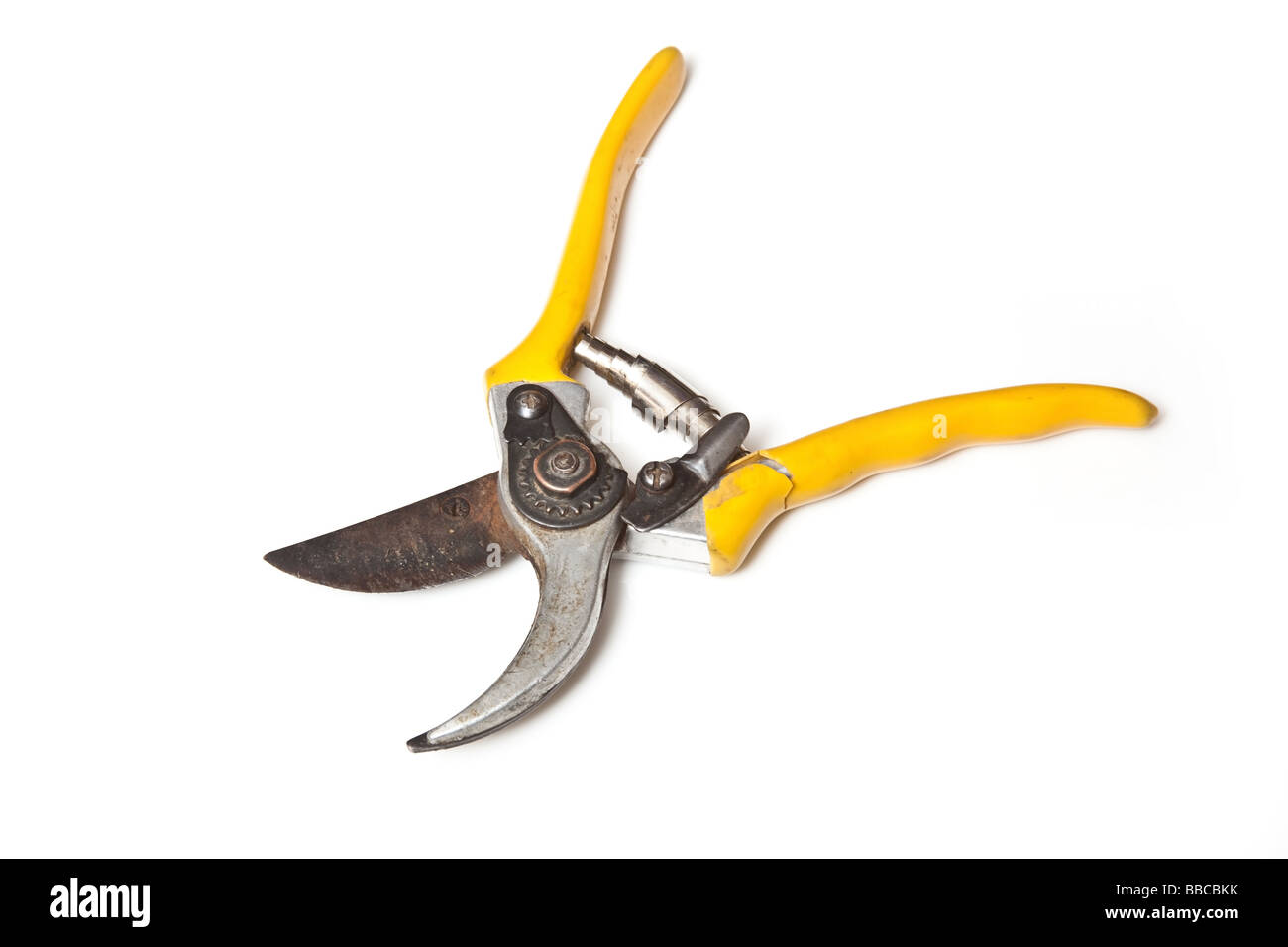 garden scissors isolated on a white studio background Stock Photo - Alamy