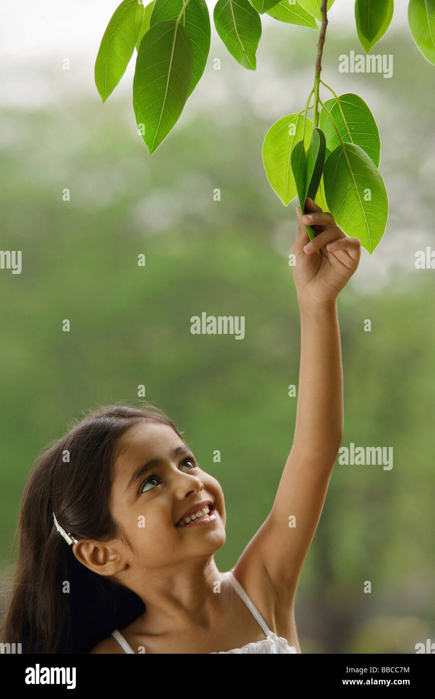 little girl reaching for tree leaf Stock Photo - Alamy