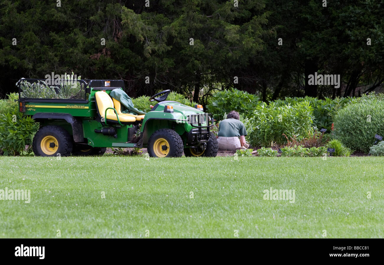 A park gardener at work in the garden planting and weeding Stock Photo ...