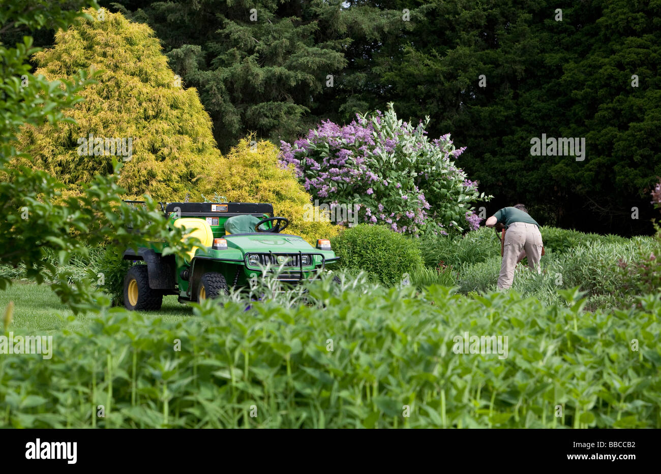 A park gardener at work in the garden planting and weeding Stock Photo ...
