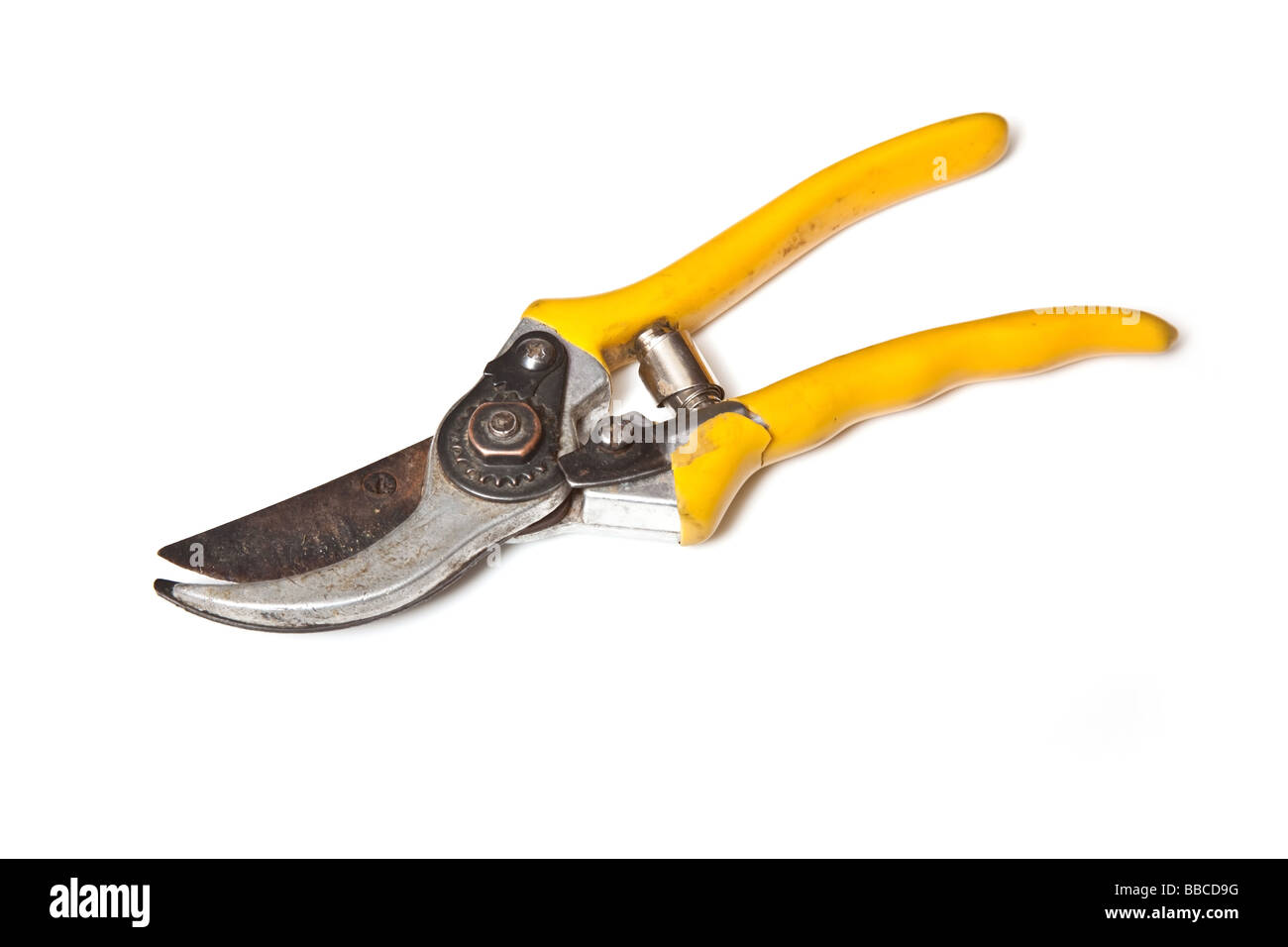garden scissors isolated on a white studio background Stock Photo - Alamy