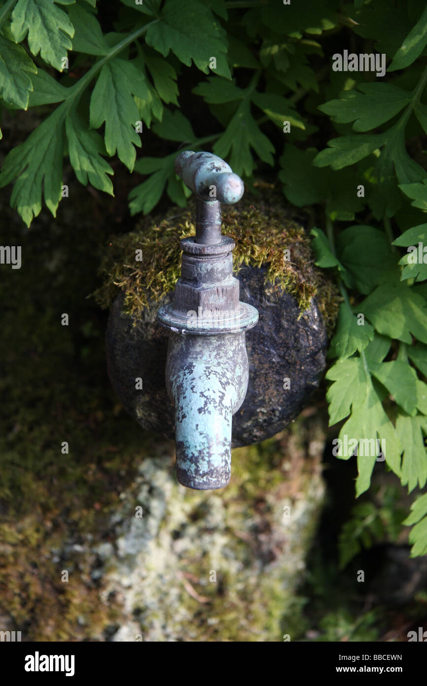 Old, outside garden tap Stock Photo - Alamy