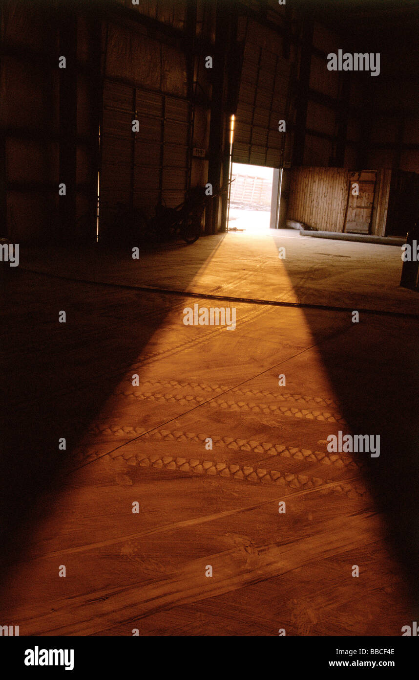 Sunlight coming into factory building from doorway Stock Photo - Alamy