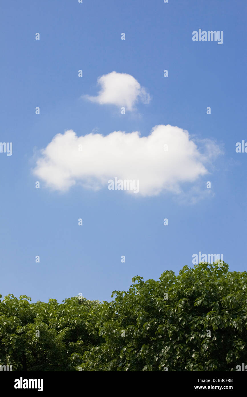 Cloud above green hedge Stock Photo - Alamy