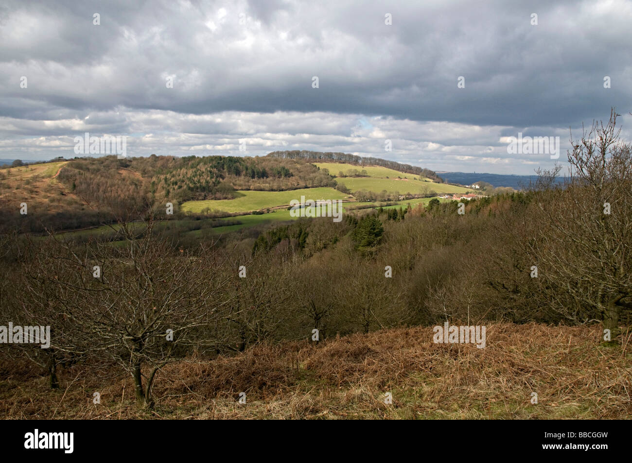 views of the clent hills in worcestershire Stock Photo - Alamy