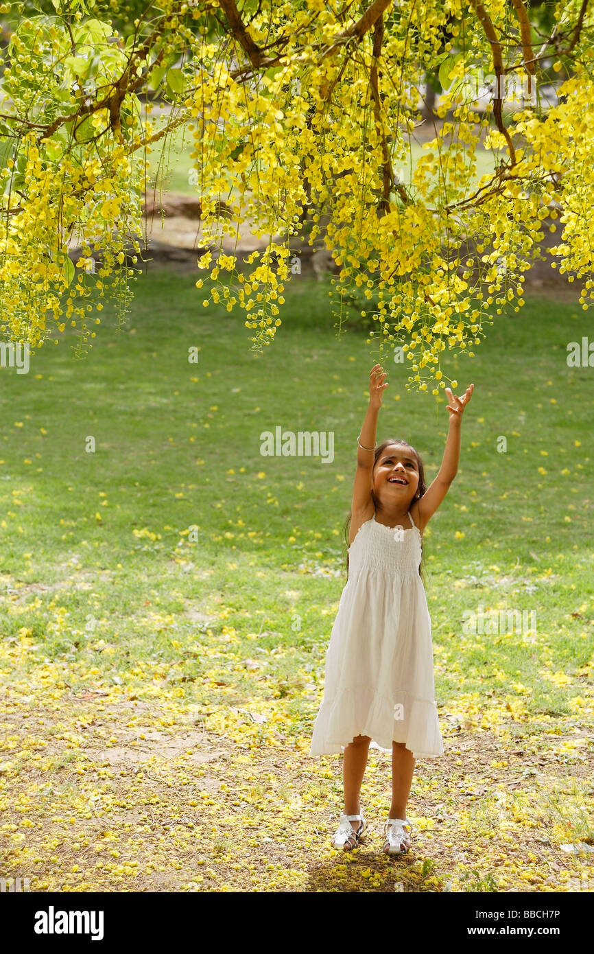 little girl reaching up to tree Stock Photo - Alamy