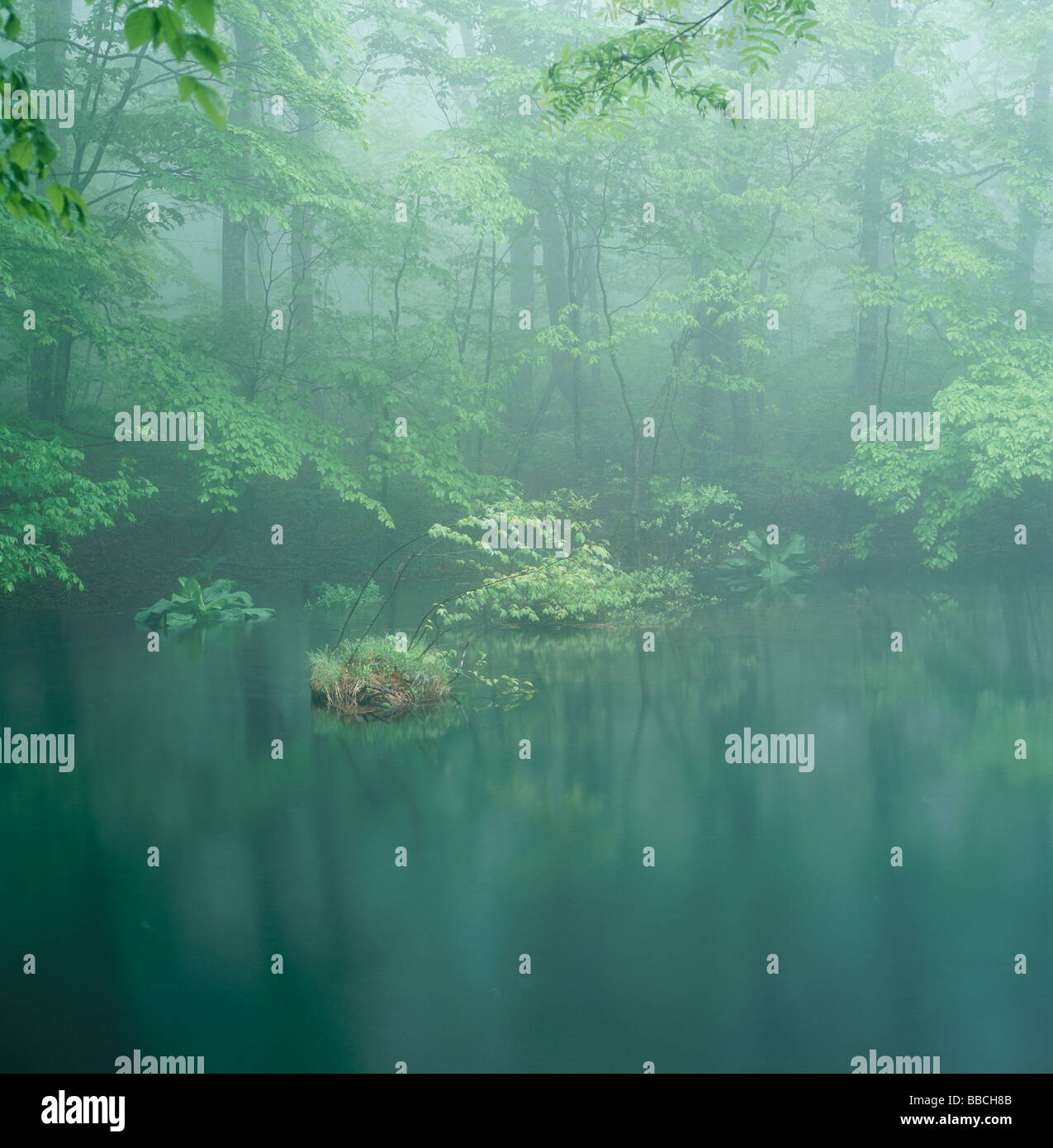 Hakkouda japan hi-res stock photography and images - Alamy