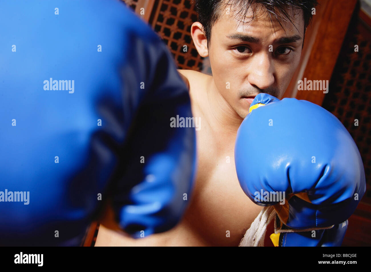Boxing pose hi-res stock photography and images - Alamy