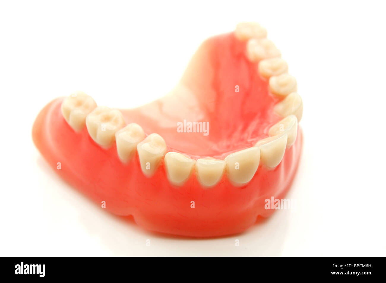Acrylic model of dentures Stock Photo - Alamy