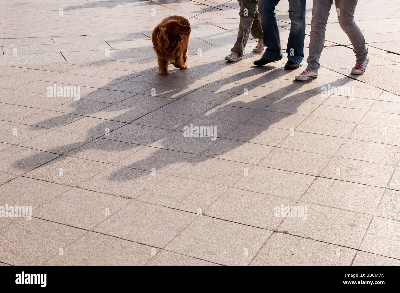People walking and shadows hi-res stock photography and images - Alamy