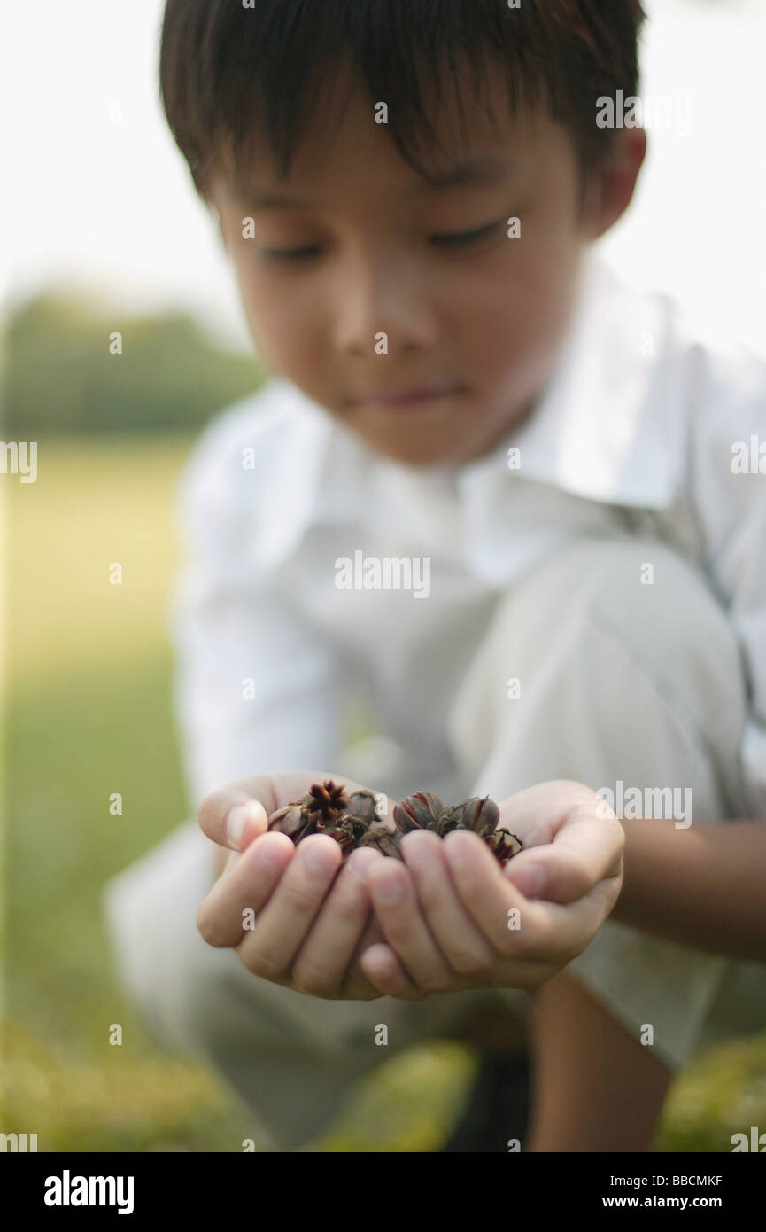 Young boy holding seeds Stock Photo - Alamy