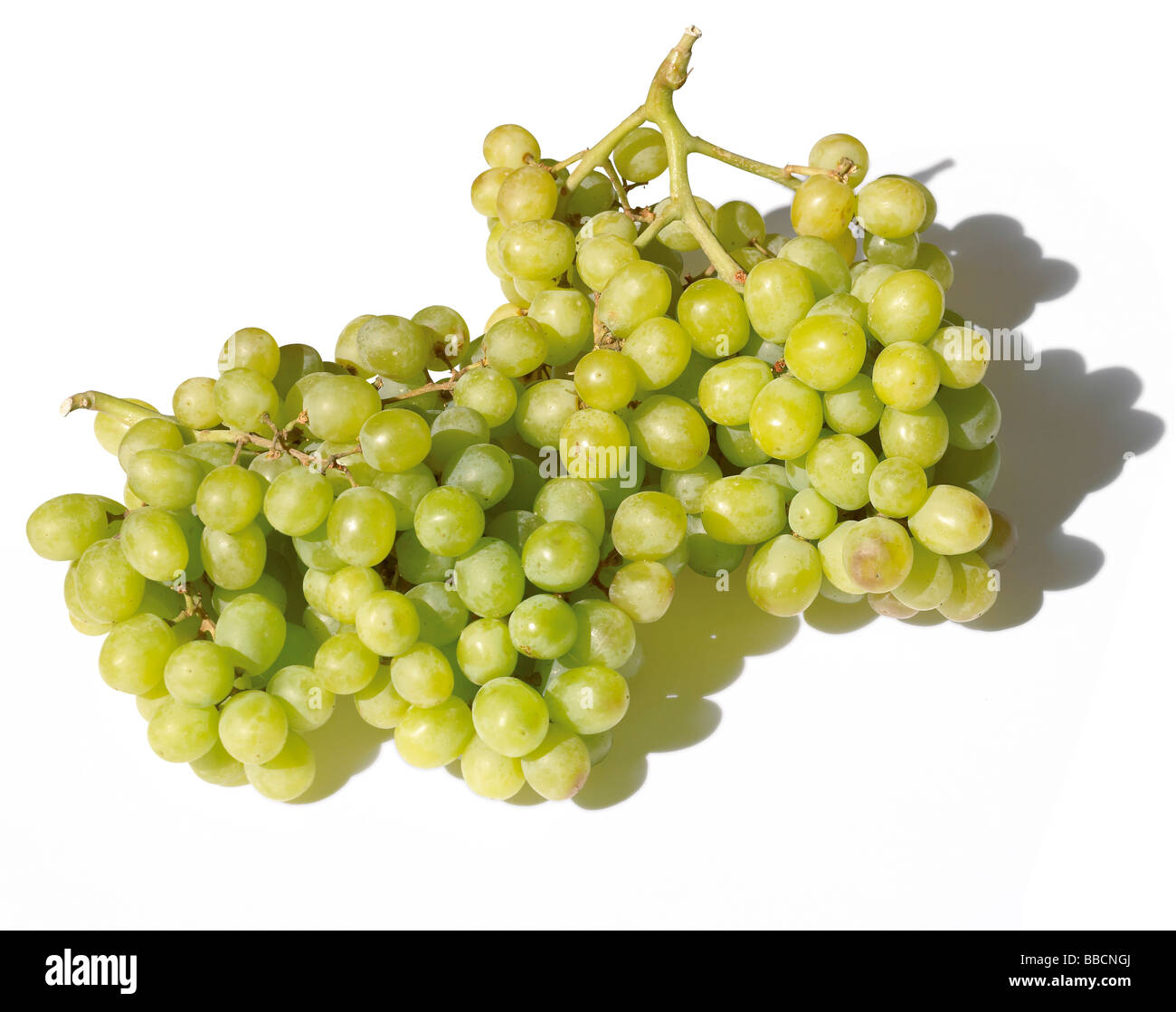 Grapes isolated on white background Stock Photo - Alamy