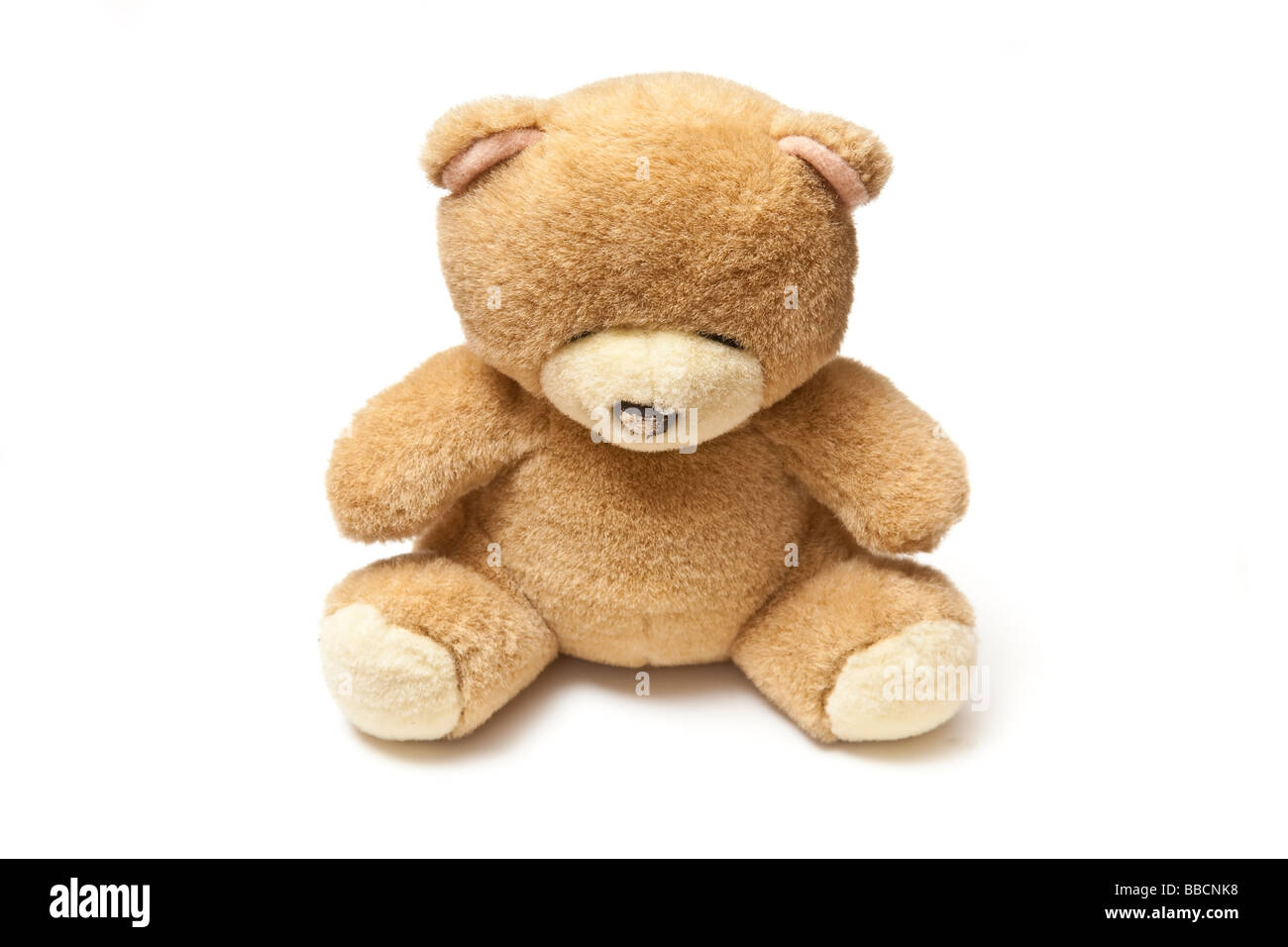 teddy bear isolated on a white studio background Stock Photo - Alamy