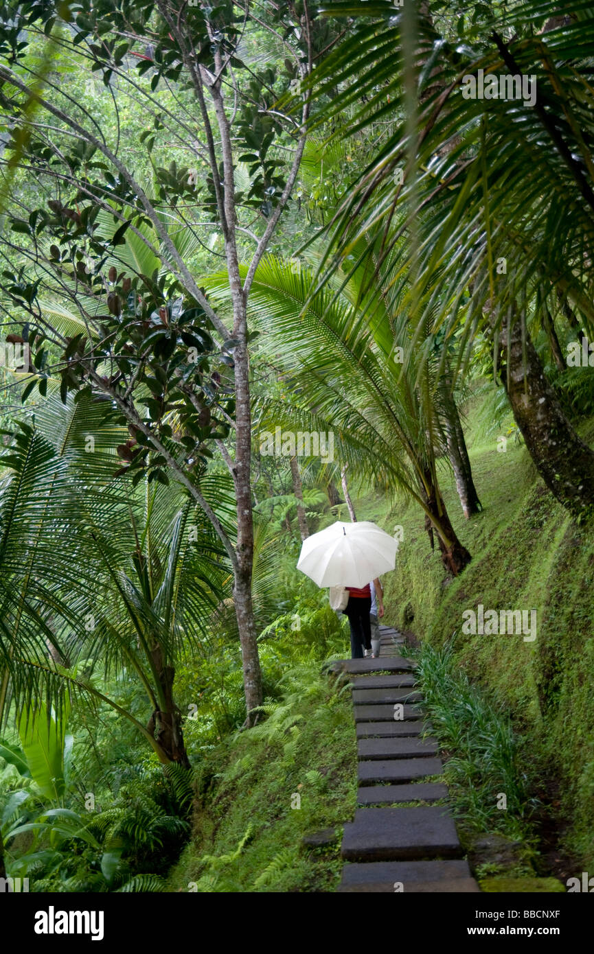 Passer-by with white umbrella on rural pathway Stock Photo - Alamy