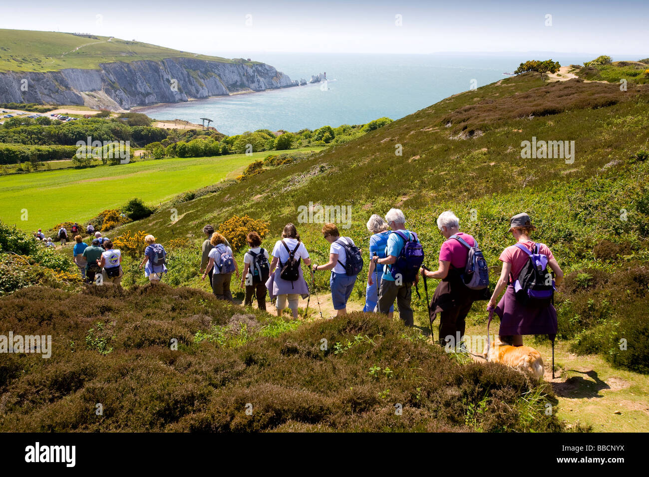 Alum,Bay,beauty,beach,Tennyson Down, The Needles, Headon Warren, Isle ...