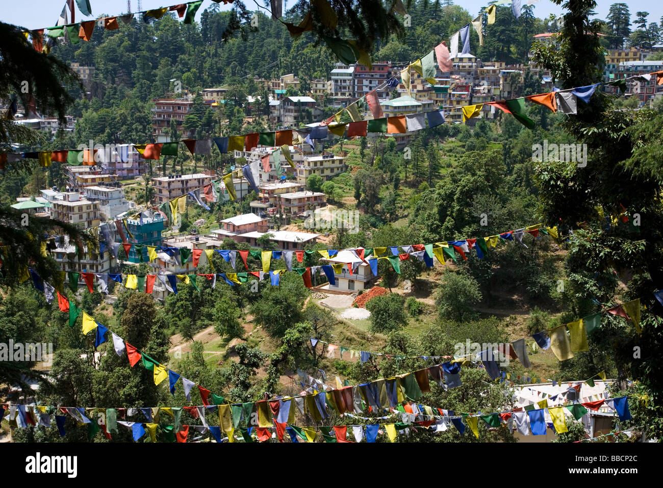 Mcleod Ganj. Dharamsala. Himachal Pradesh. India Stock Photo - Alamy