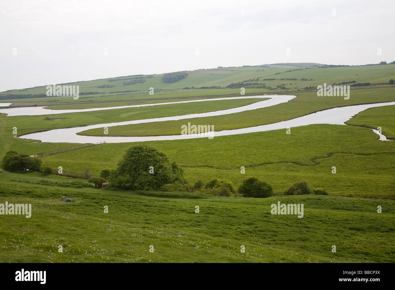 River Cuckmere meanders East Sussex England Stock Photo - Alamy