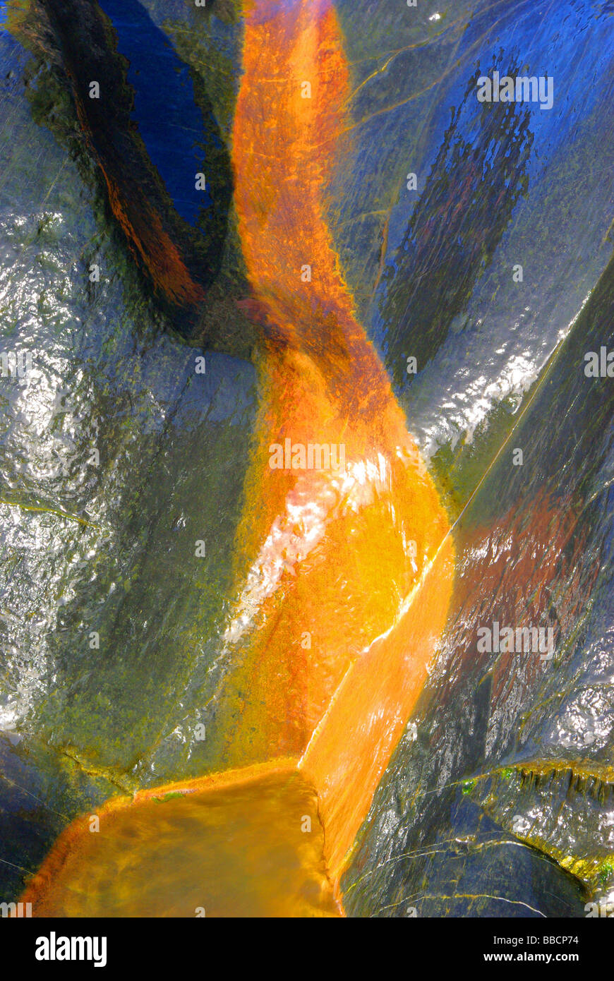 Streak of algae hi-res stock photography and images - Alamy