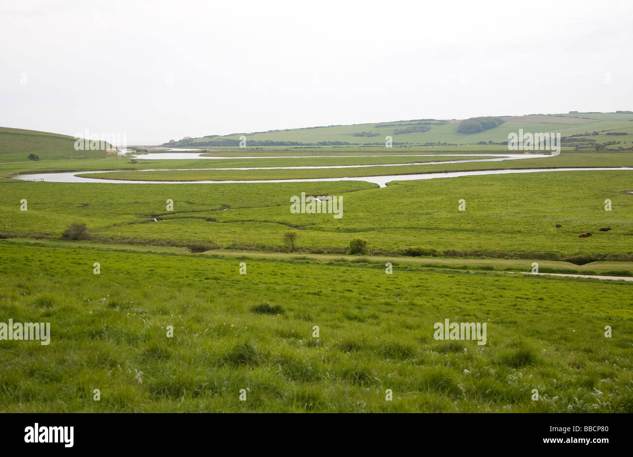 River Cuckmere meanders East Sussex England Stock Photo - Alamy
