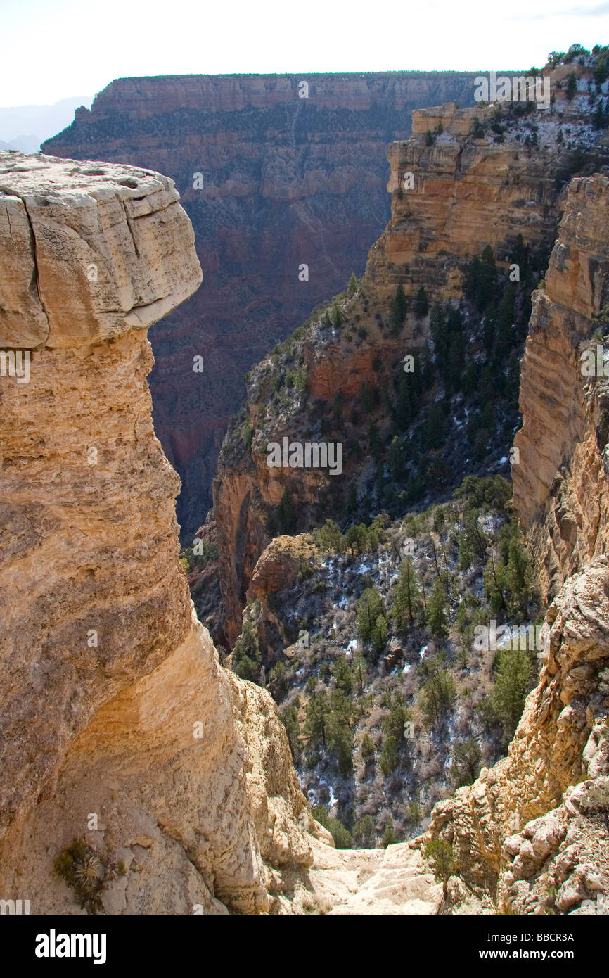 South Rim view of the Grand Canyon Arizona USA Stock Photo - Alamy