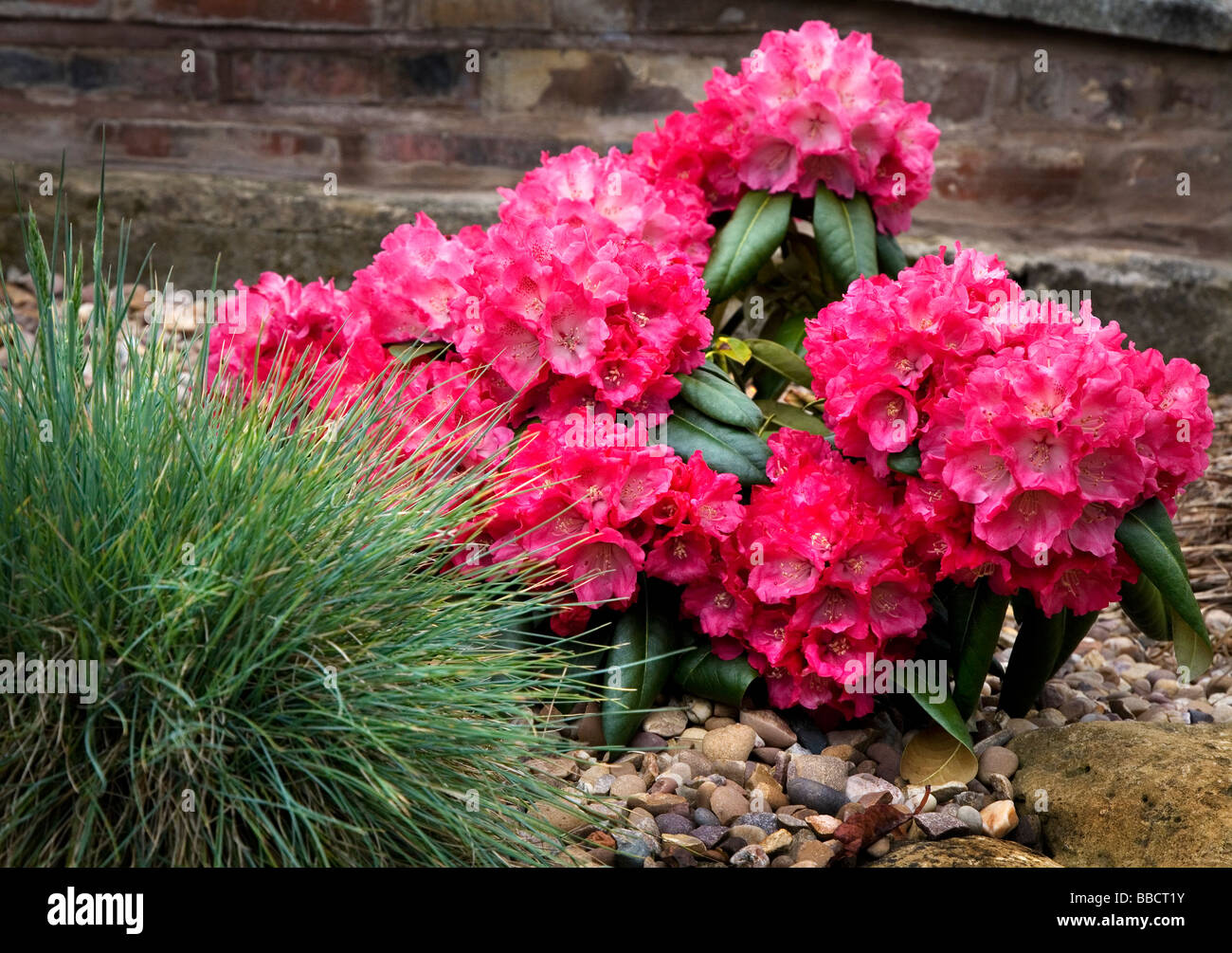 Perennials border hi-res stock photography and images - Alamy