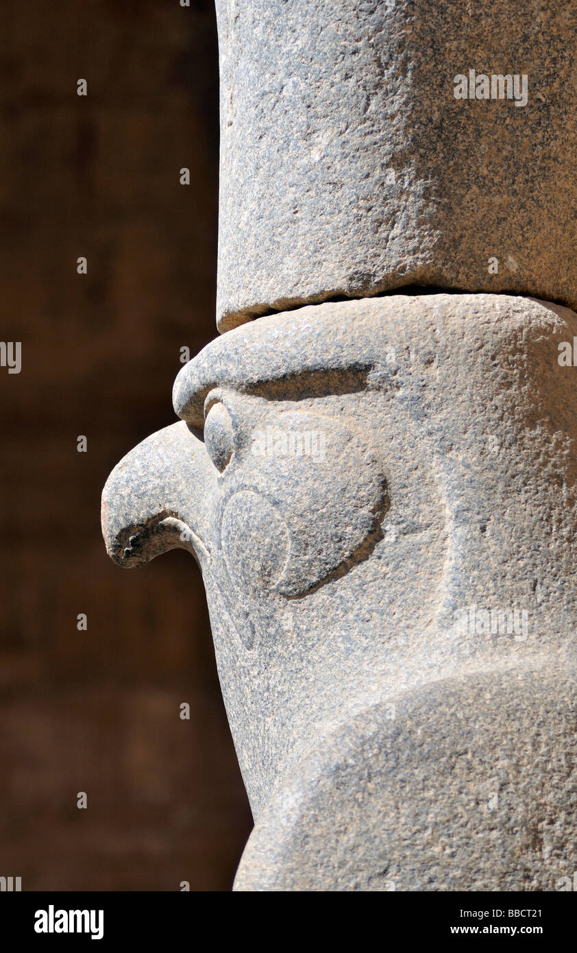 Falcon headed god horus hi-res stock photography and images - Alamy