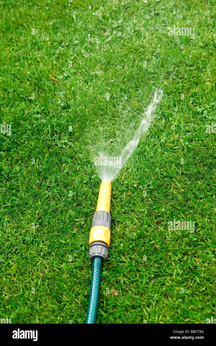 Hosepipe water hi-res stock photography and images - Alamy