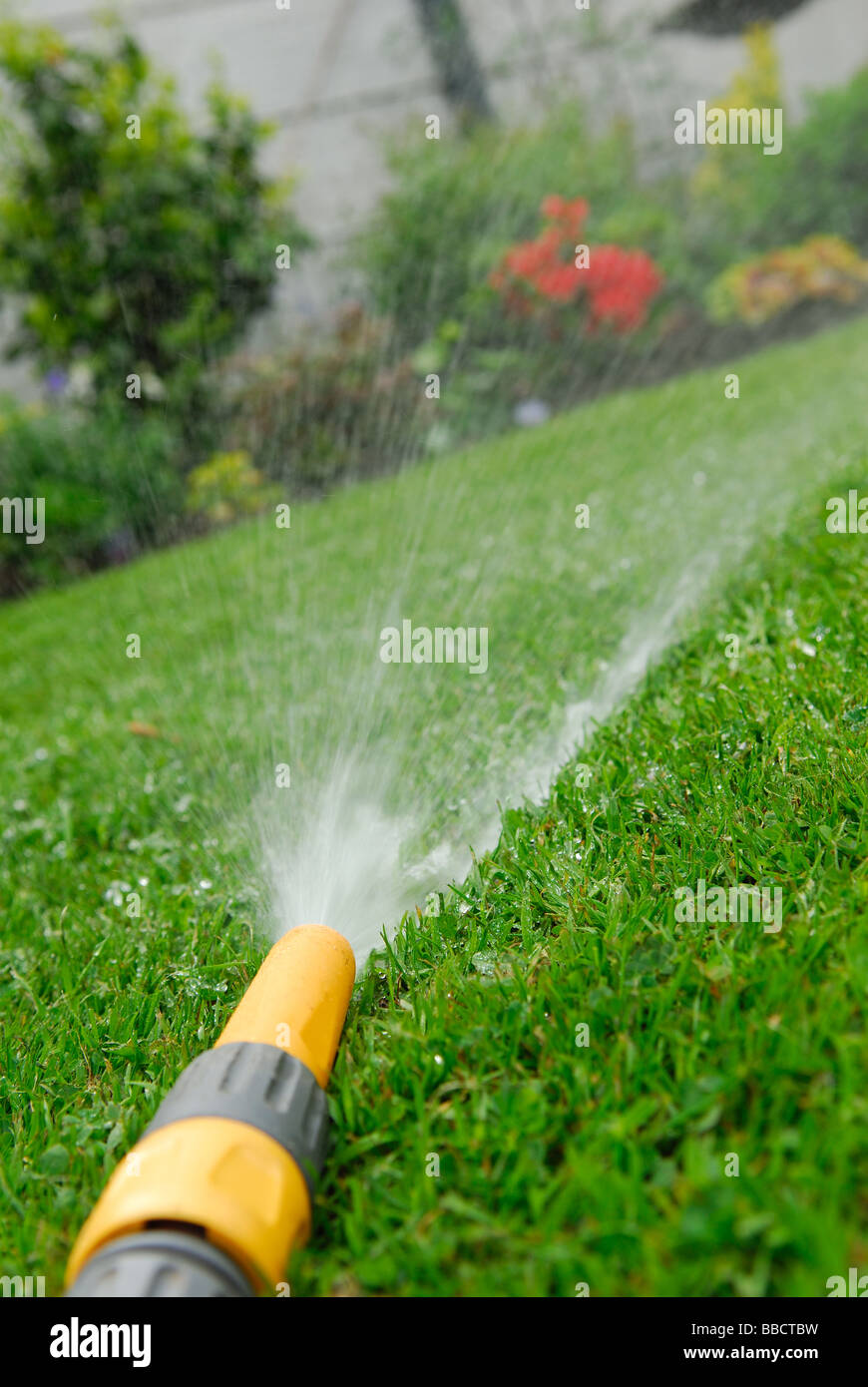 Hosepipe Watering Garden Stock Photo - Alamy