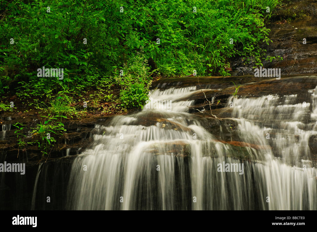 waterfall flowing over rocks in forest Stock Photo - Alamy