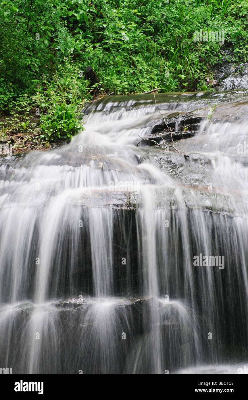 waterfall flowing over rocks in forest Stock Photo - Alamy