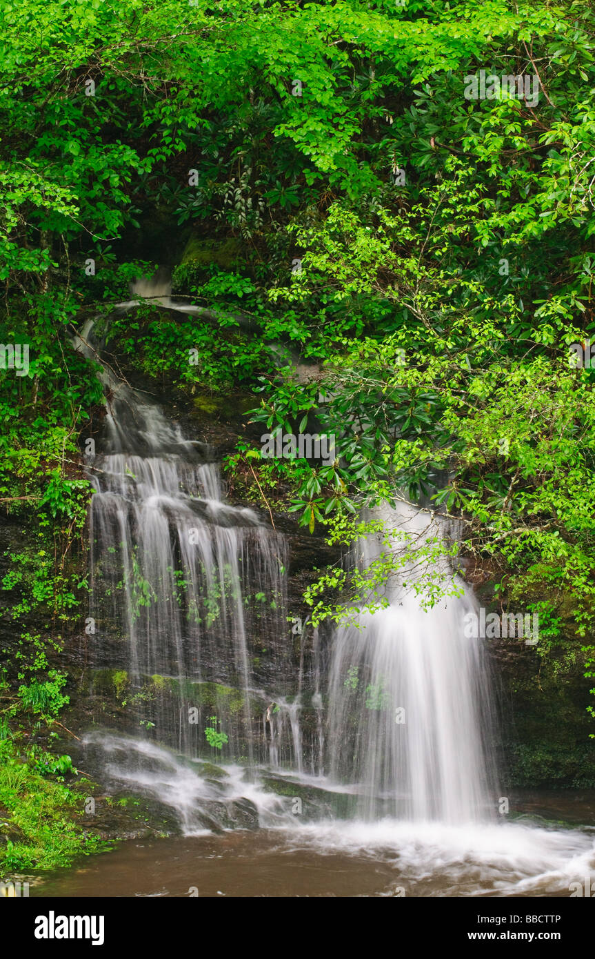 waterfall in forest Stock Photo - Alamy