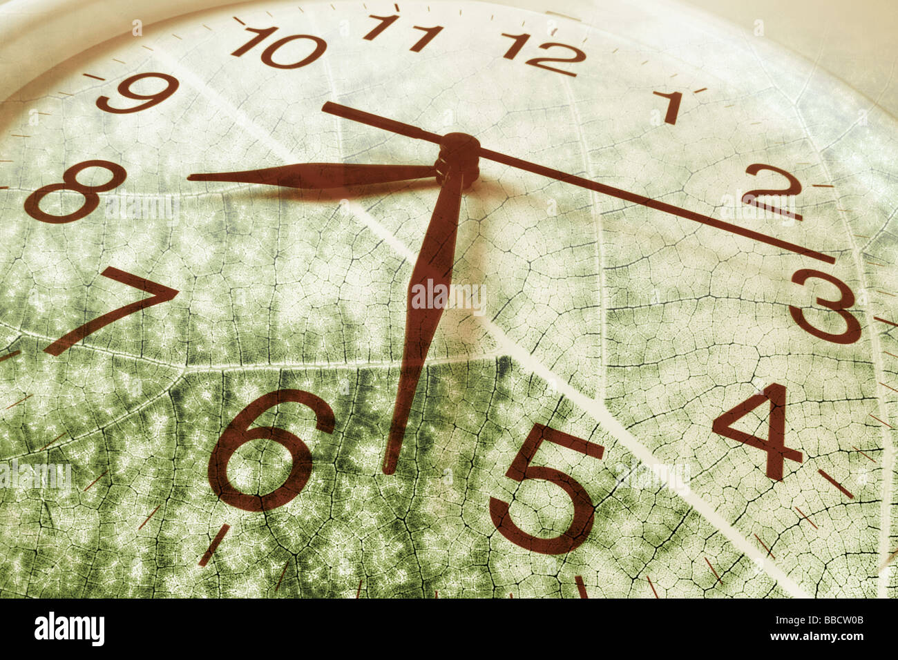 Clock and Leaf Stock Photo - Alamy