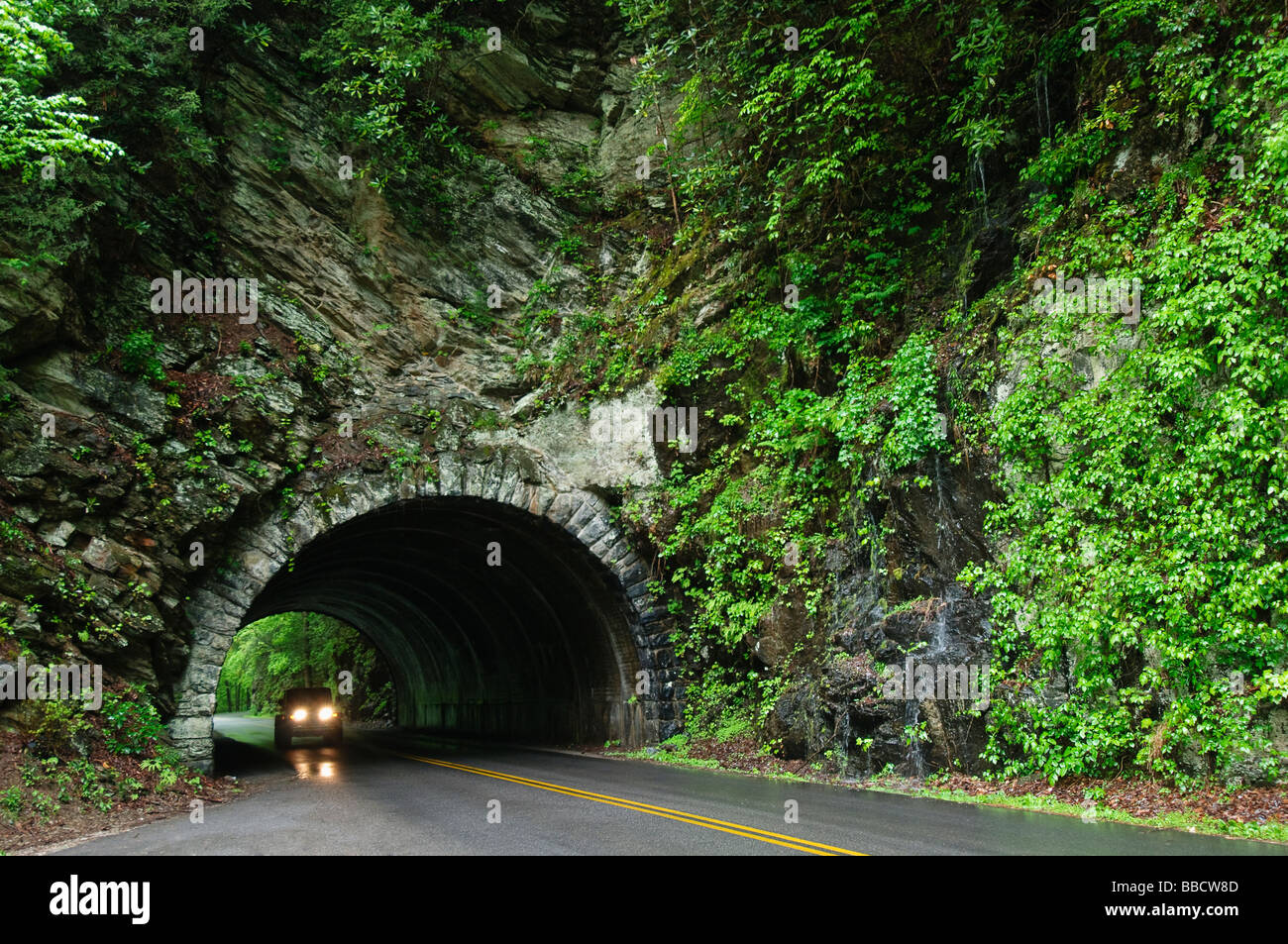 Driving through green tunnel trees hi-res stock photography and images ...