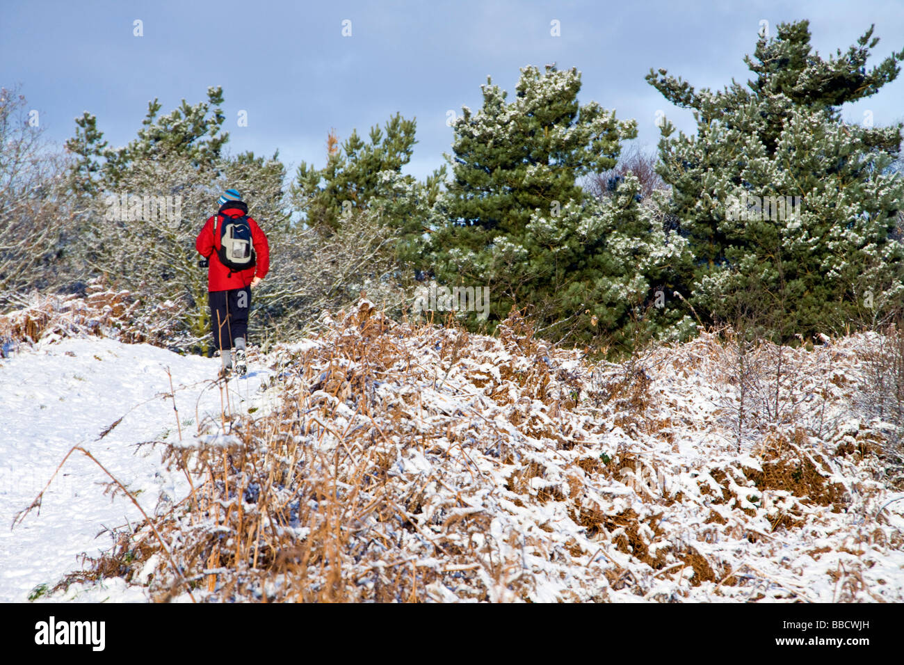 Walker rambler with red coat and ruck sack on ridge path around castle ...