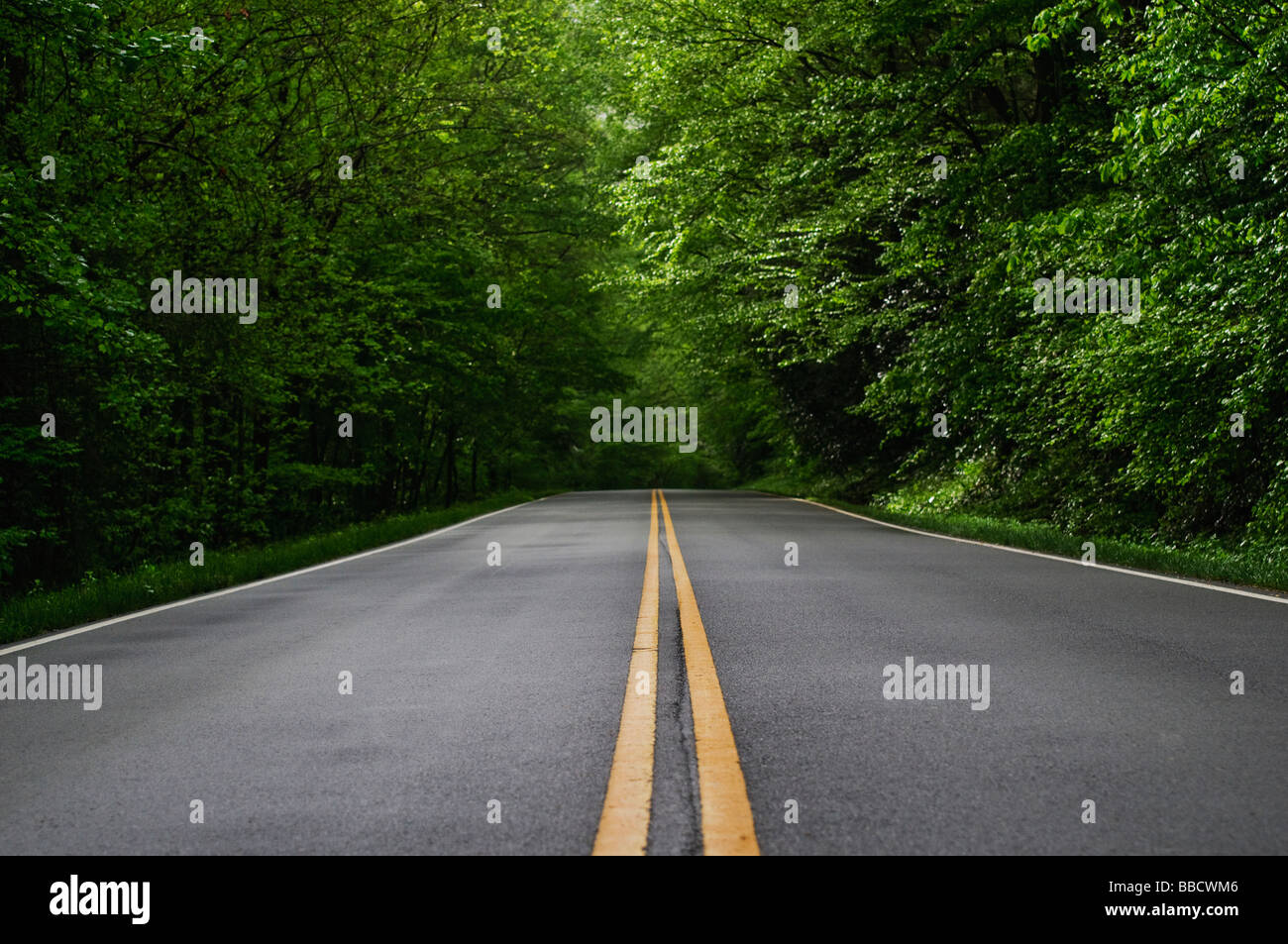 clean straight road stretch off into distance Stock Photo - Alamy